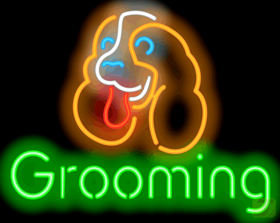 Pets Neon Signs | Fish and Animal Neon Sign | JantecNeon.com